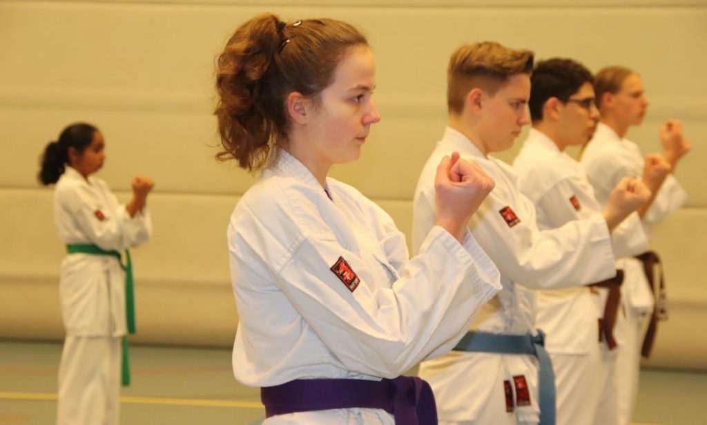 Japan Karate stijlen – Daruma ryu